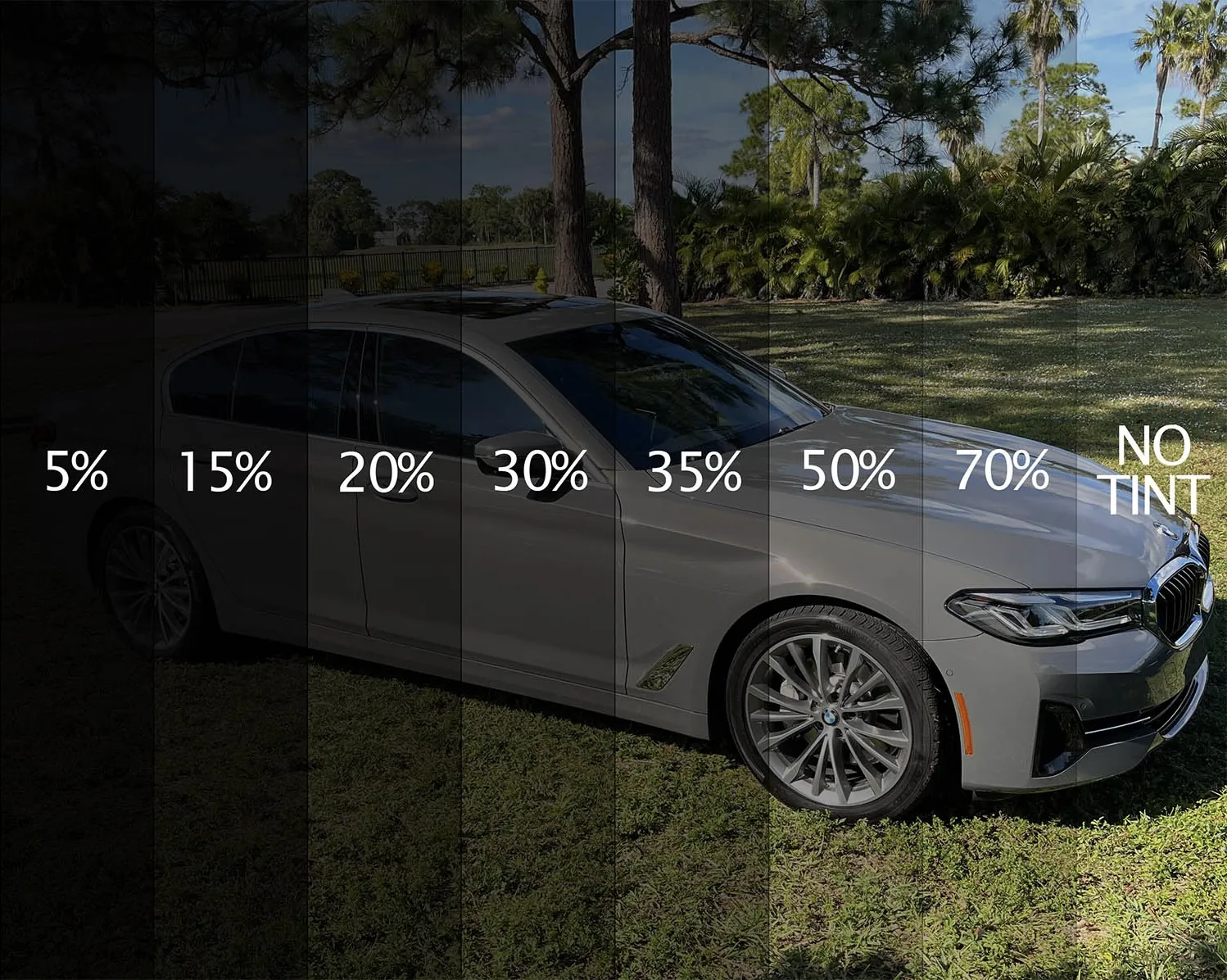 Window Tinting Experts in San Diego | We Come to You